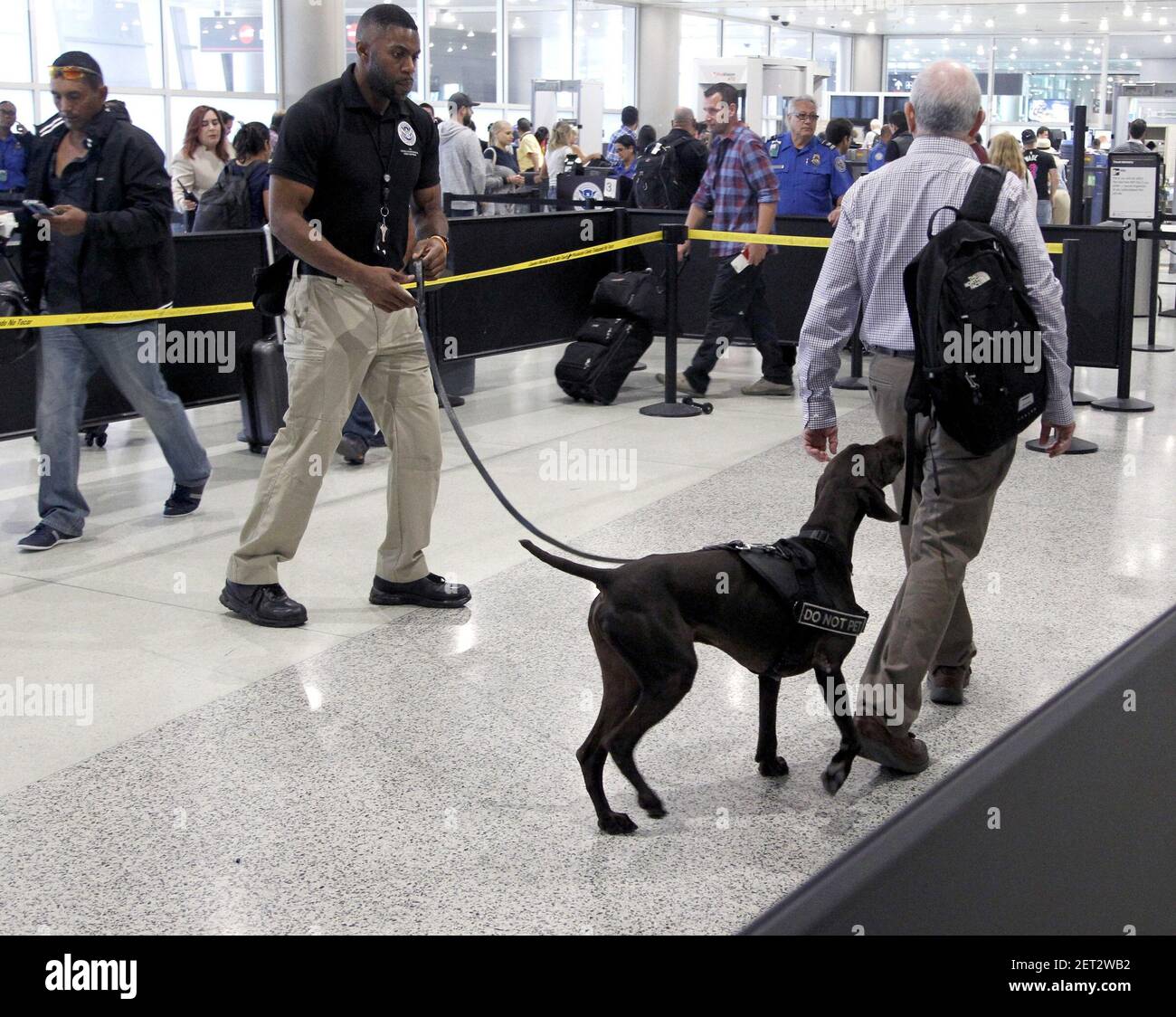 TSA officer Cedric Belvin and German short-hair pointer Angus search ...