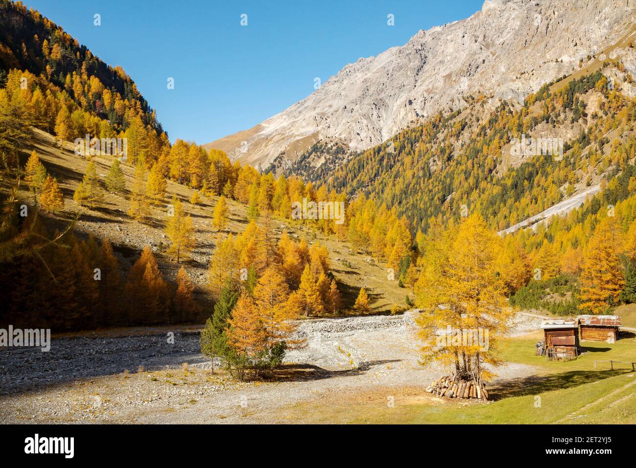 Val Zebrù, Bormio (IT), typical wooden hut Stock Photo - Alamy