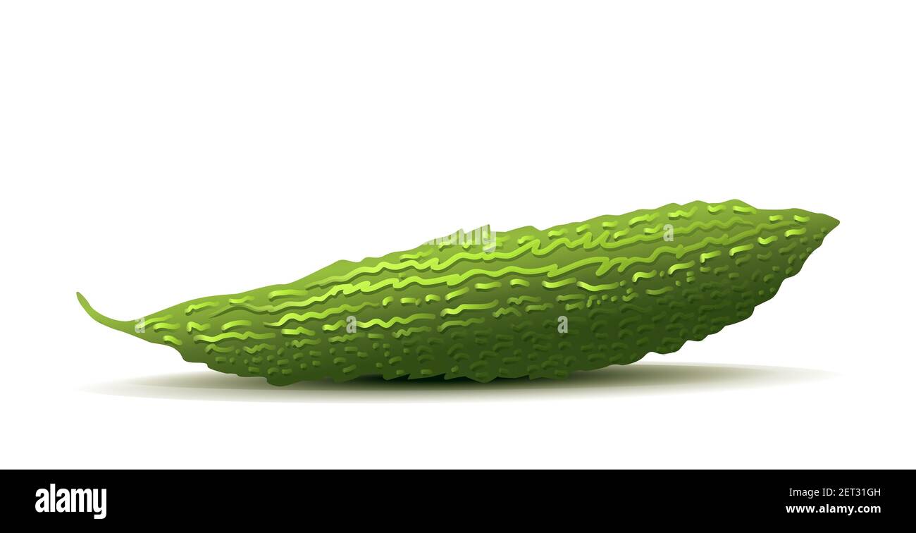 Vegetable hand Illustration created by Indian artist Stock Photo - Alamy