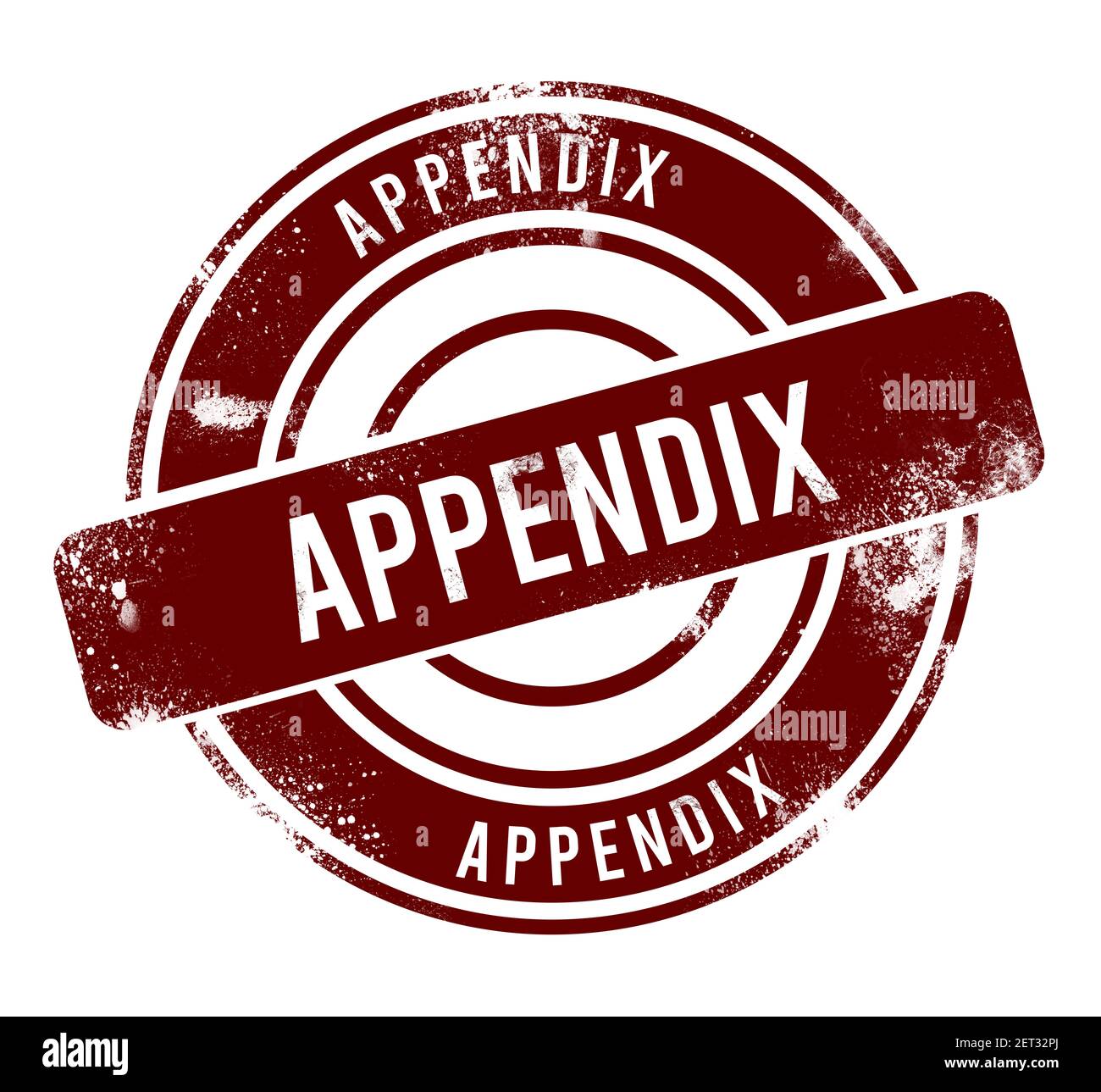 Appendices Logo