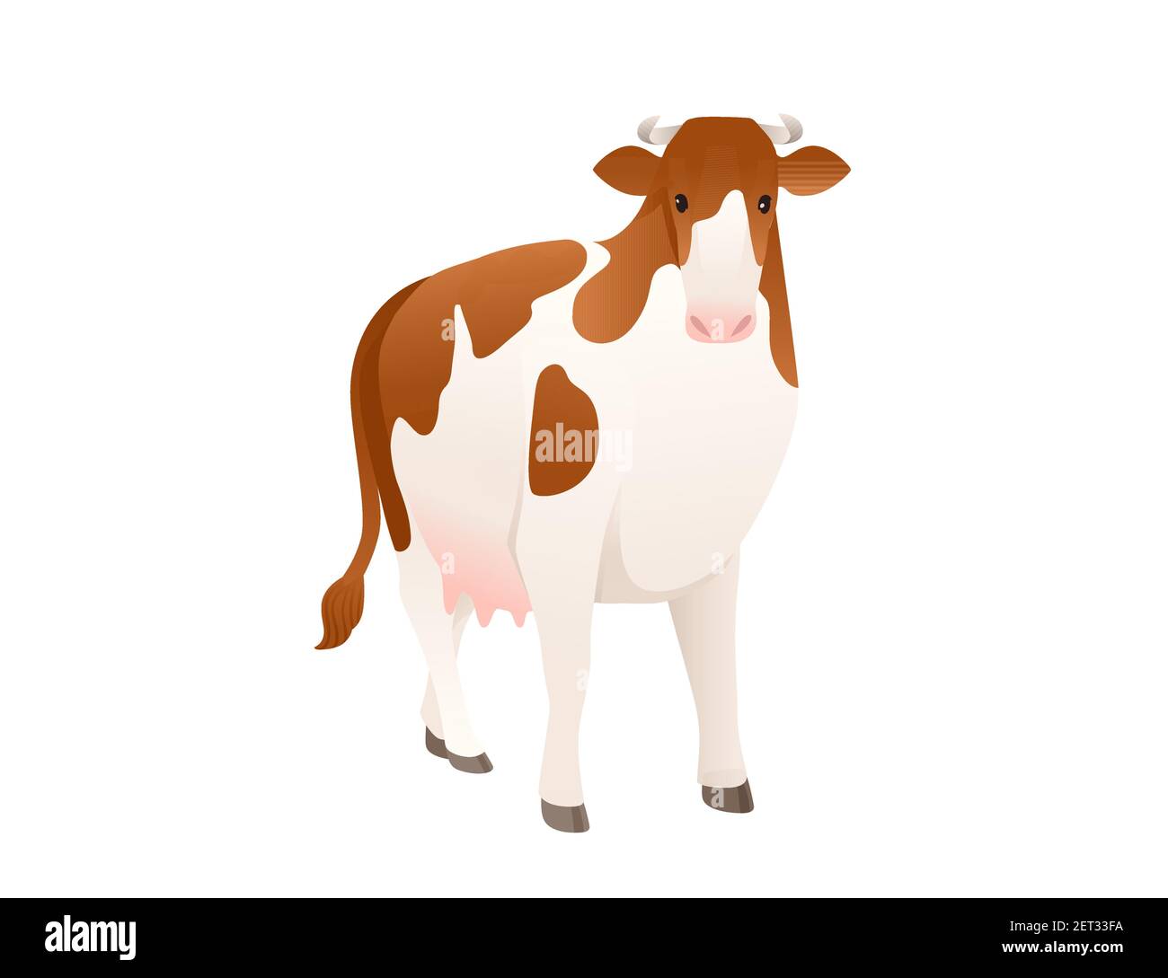 Dairy cattle simmental cow spotted domestic mammal animal cartoon ...