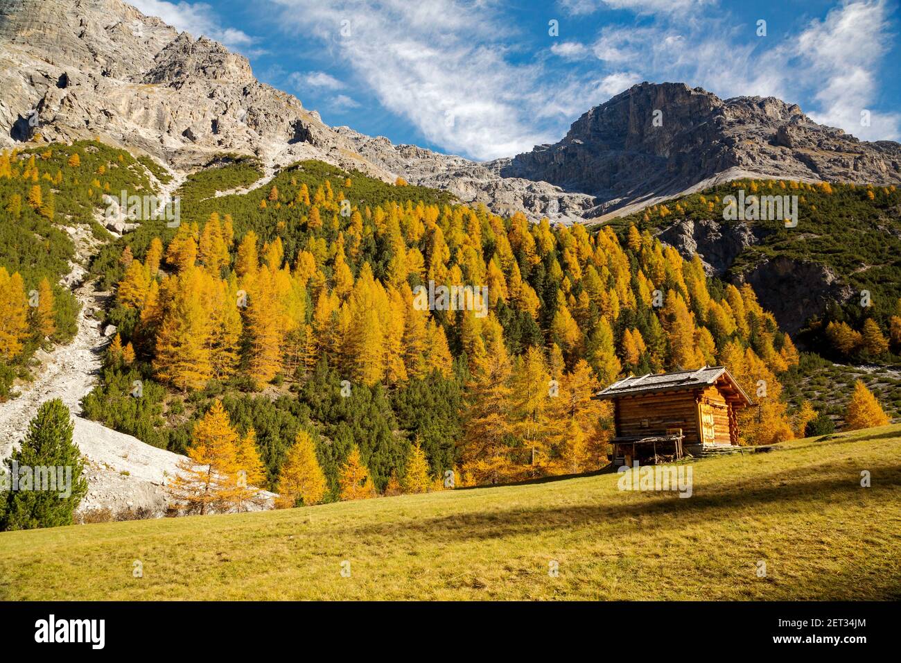 Zebru valley hi-res stock photography and images - Alamy