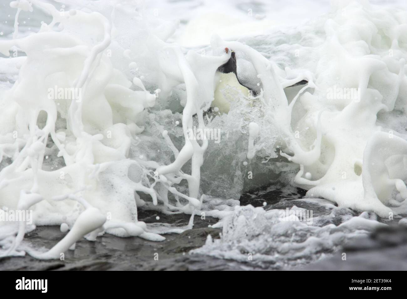 Pounding Wave High Resolution Stock Photography and Images - Alamy