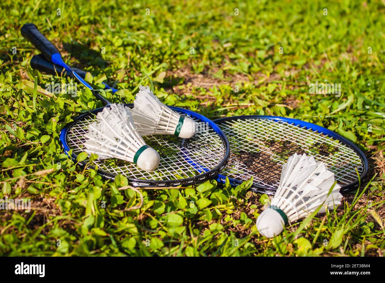 Badminton rackets, shuttlecocks are lying on the grass. The concept of ...