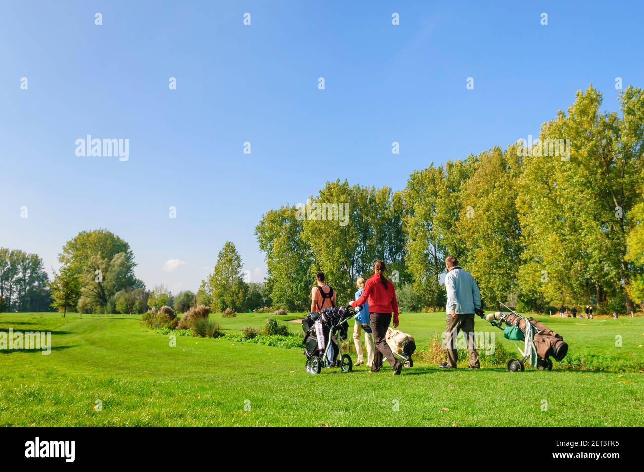 Golf flight on fairway Stock Photo - Alamy