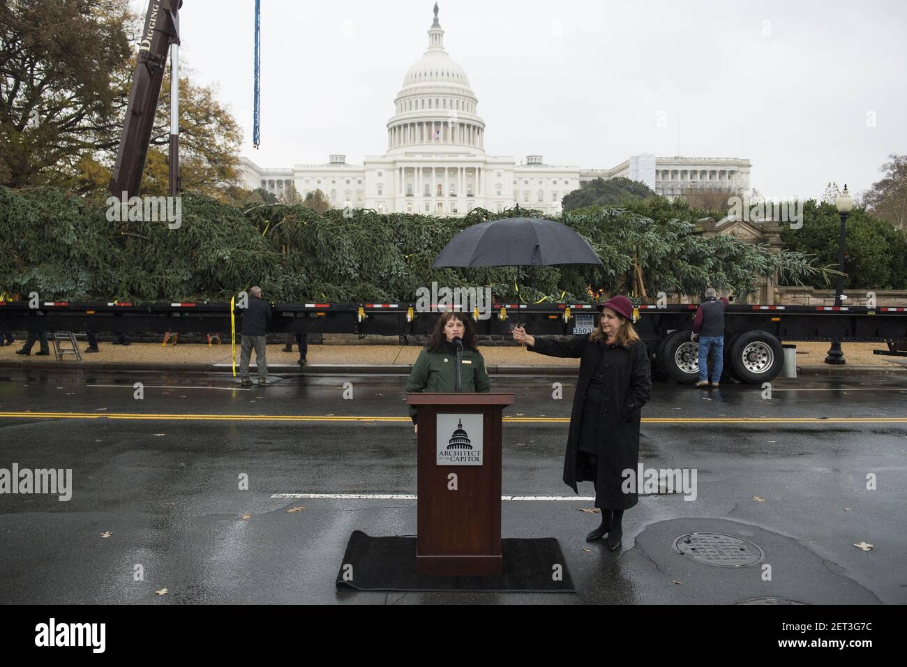 UNITED STATES - NOVEMBER 26: Acting Architect of the Capitol Christine ...
