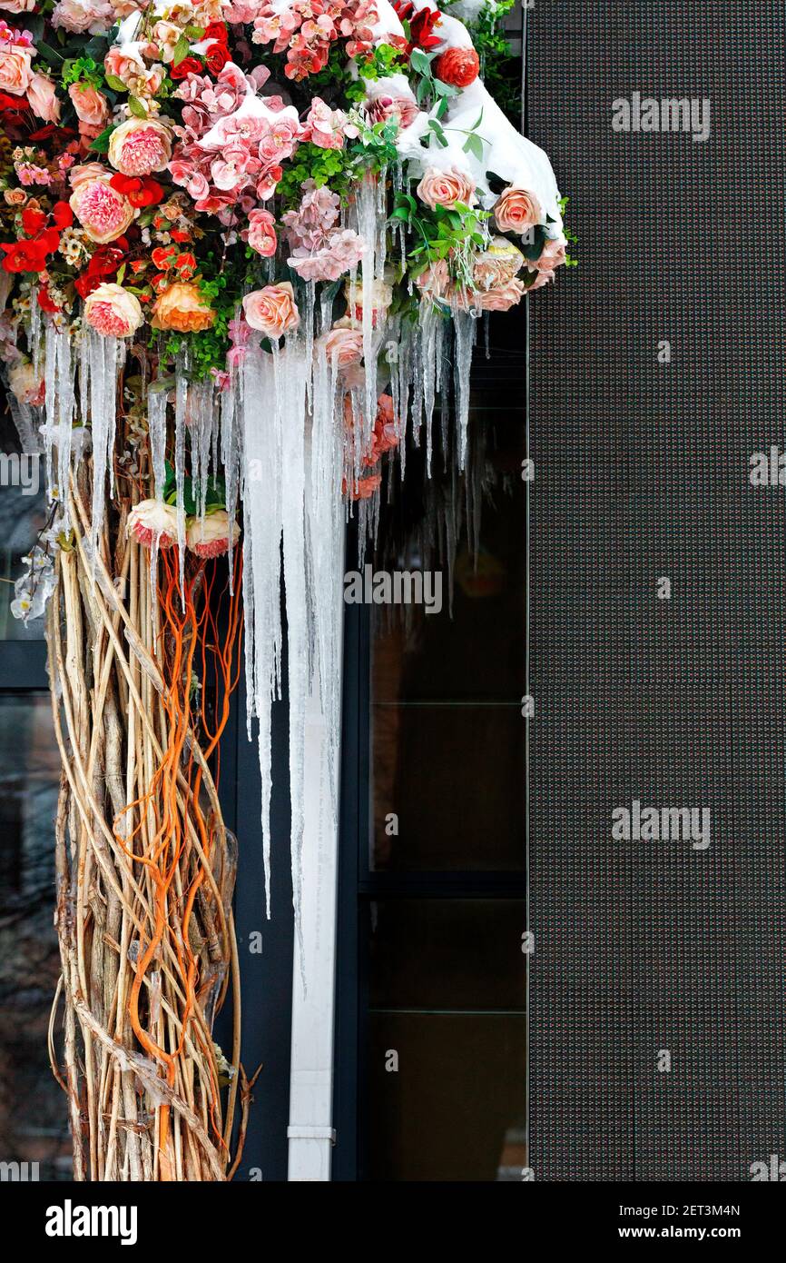 Vertical image of flowers hi-res stock photography and images - Alamy