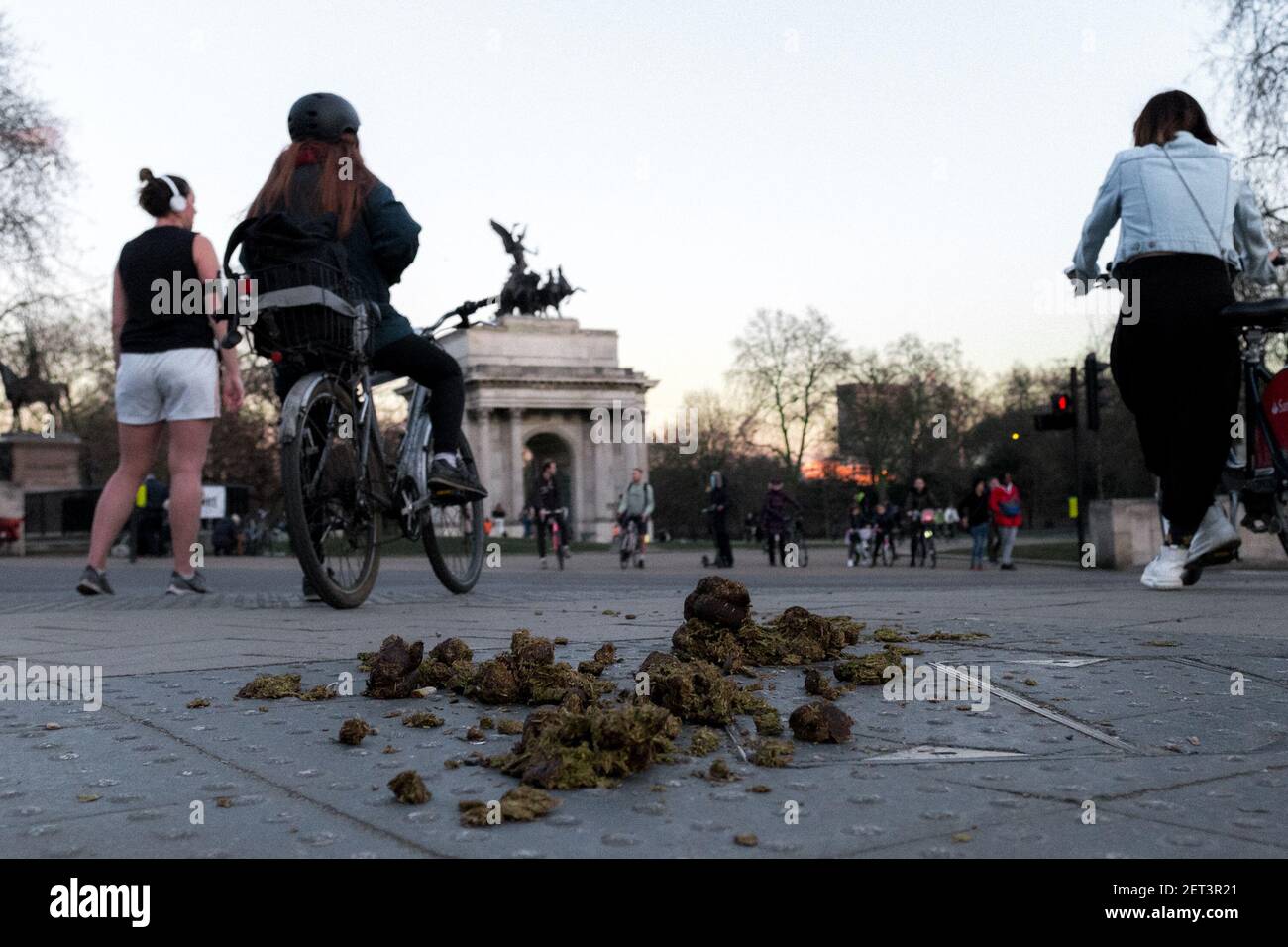 Horse fecus on the pavement as people wait to cross the road, looking ...