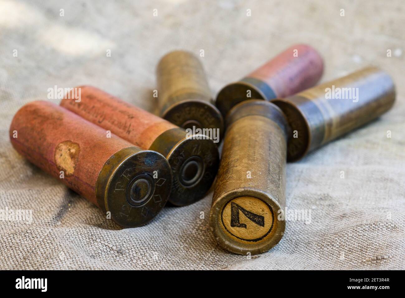 Vintage shotgun cartridge, France Stock Photo - Alamy
