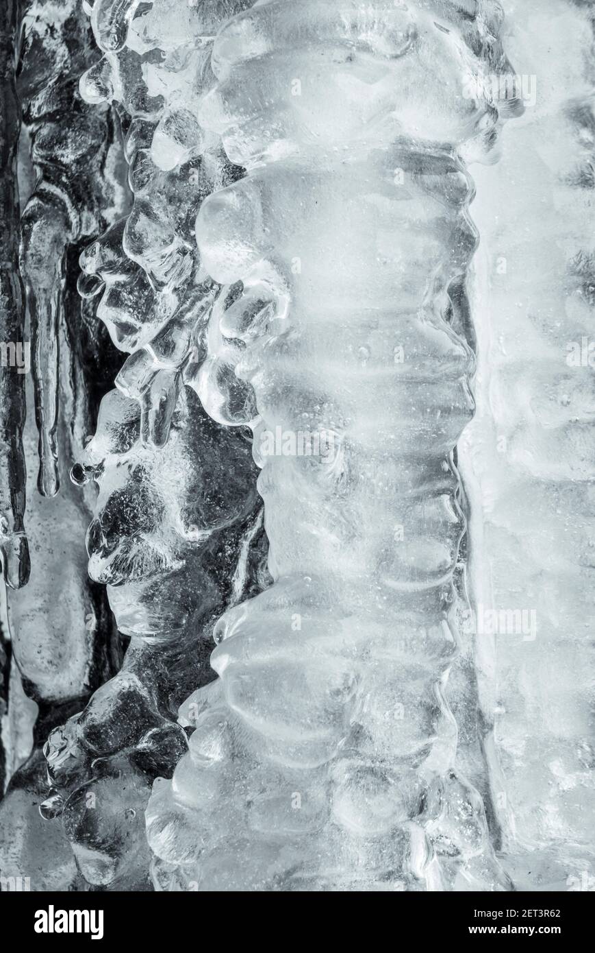 Abstract natural forms hi-res stock photography and images - Alamy