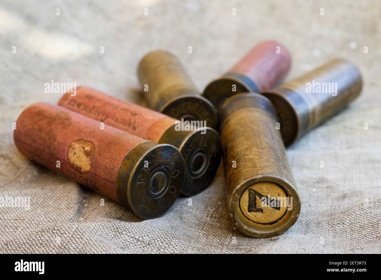 Vintage shotgun cartridge, France Stock Photo - Alamy