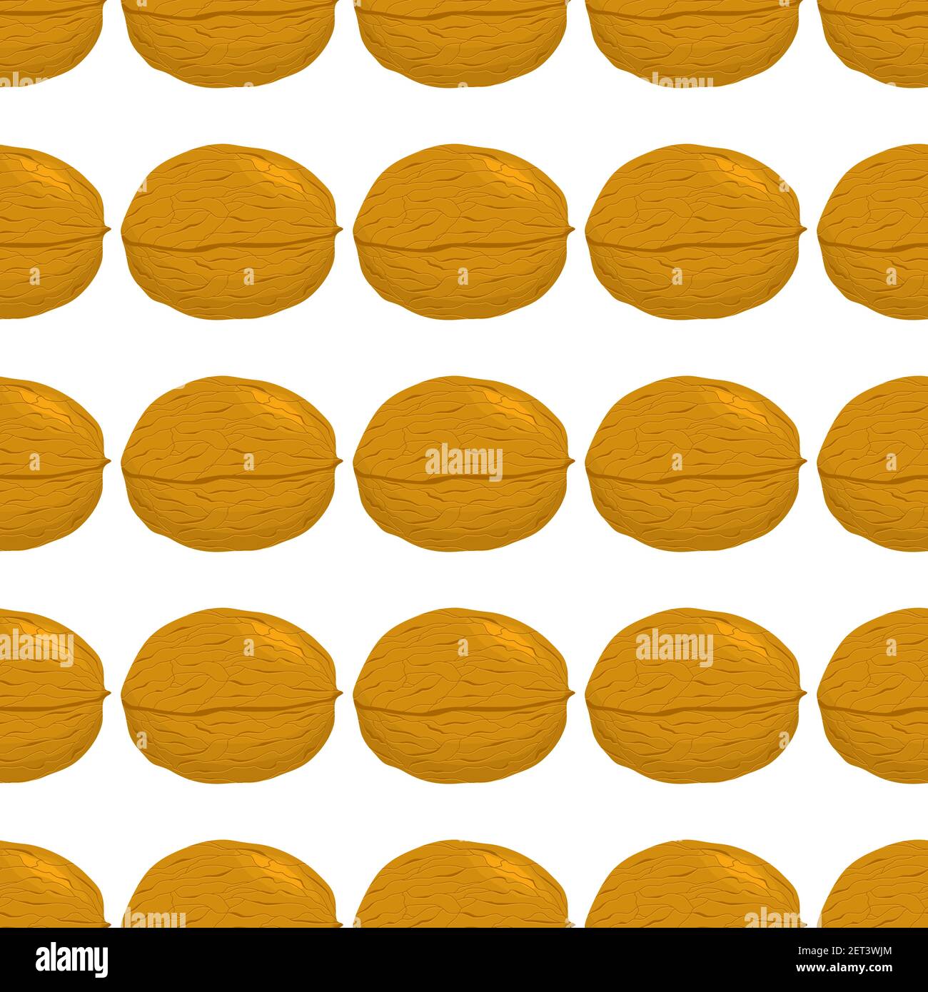 Illustration on theme big pattern identical types walnut, nut equal ...