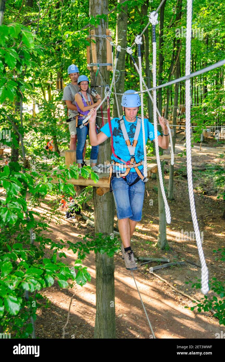 On the way in a climbing park in forest Stock Photo - Alamy