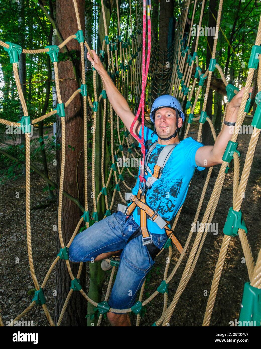 On the way in a climbing park in forest Stock Photo - Alamy