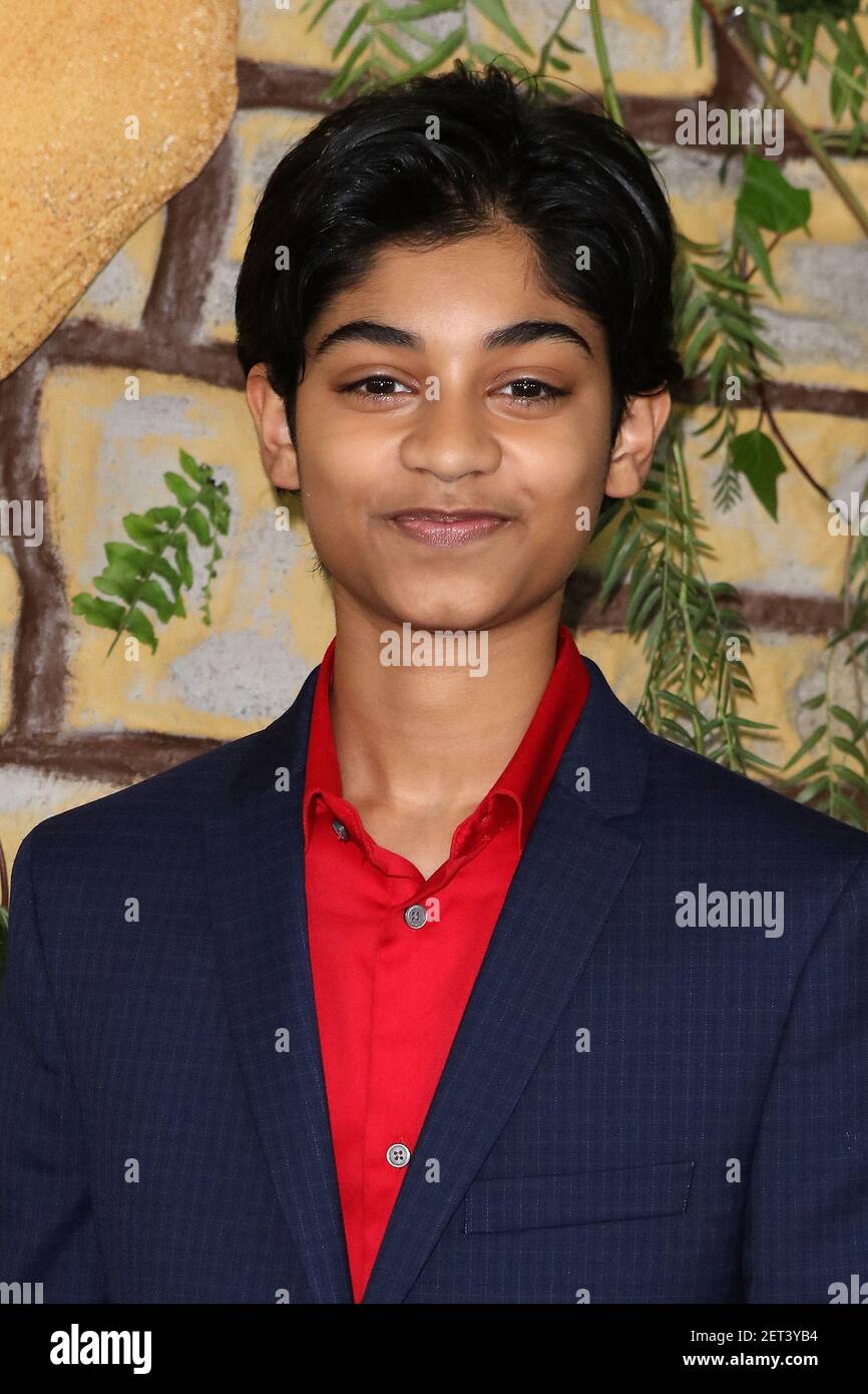 Rohan Chand attends the Los Angeles Special Screening of Nexflix's ...