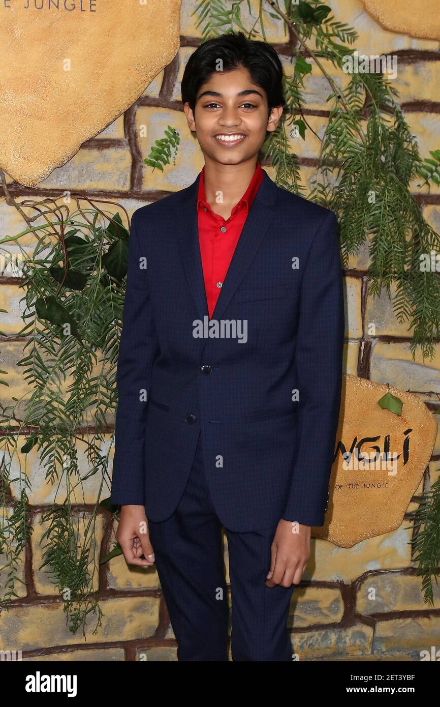 Rohan Chand attends the Los Angeles Special Screening of Nexflix's ...