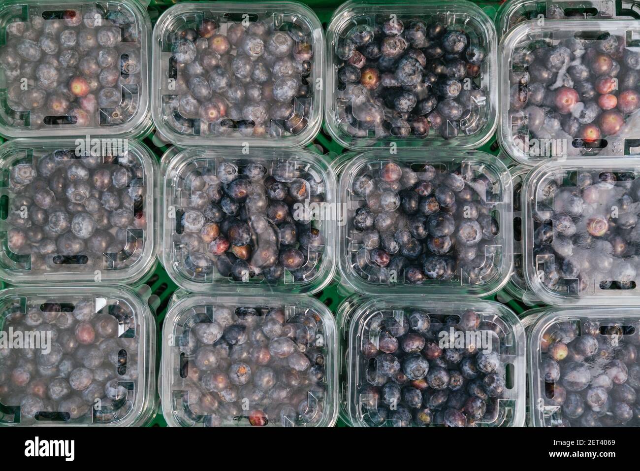 Blueberries in clear plastic tray. Freshly harvested blueberries on the ...