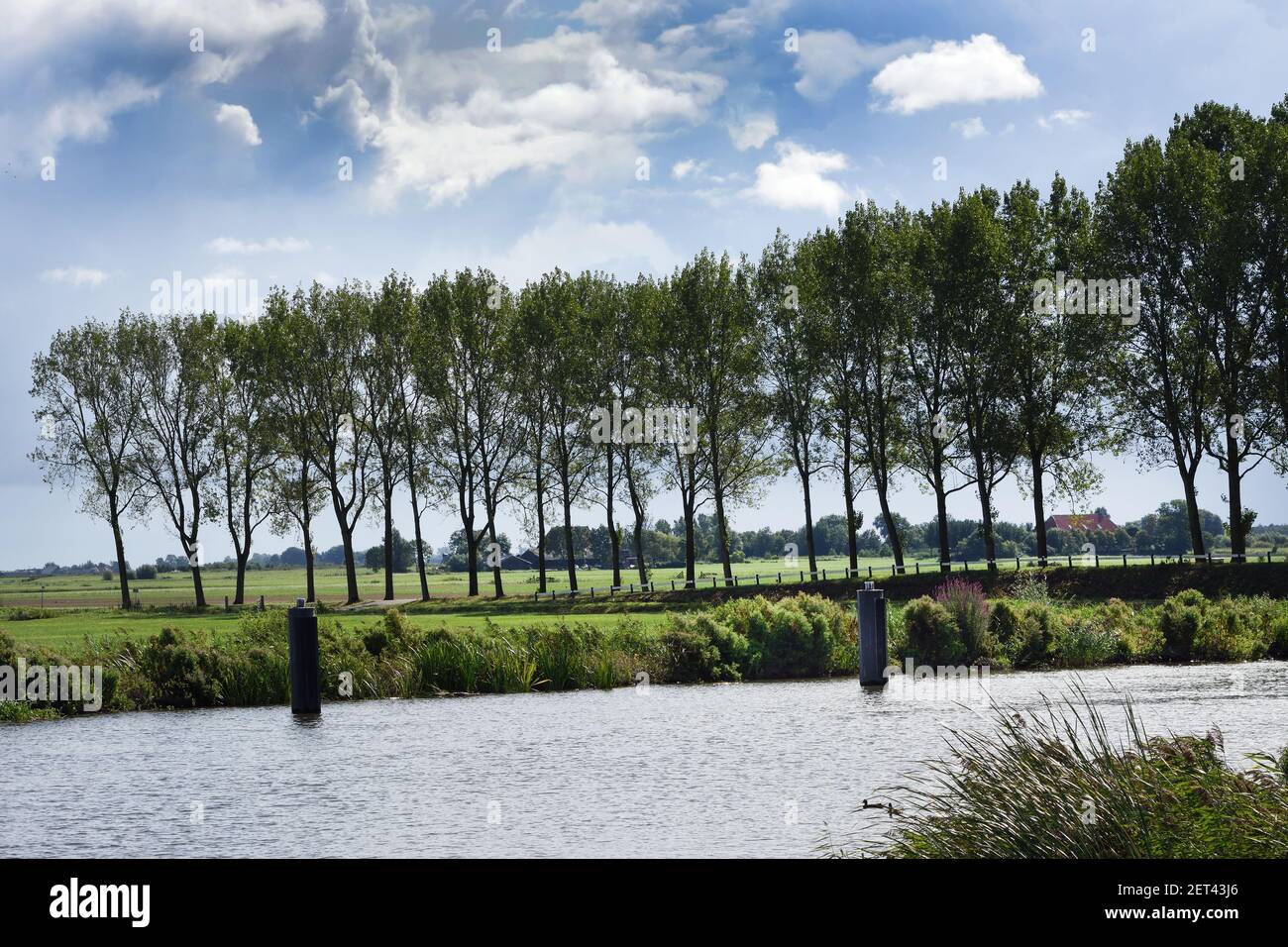 Friesland countryside The Netherlands, Dutch, Friesland Stock Photo - Alamy