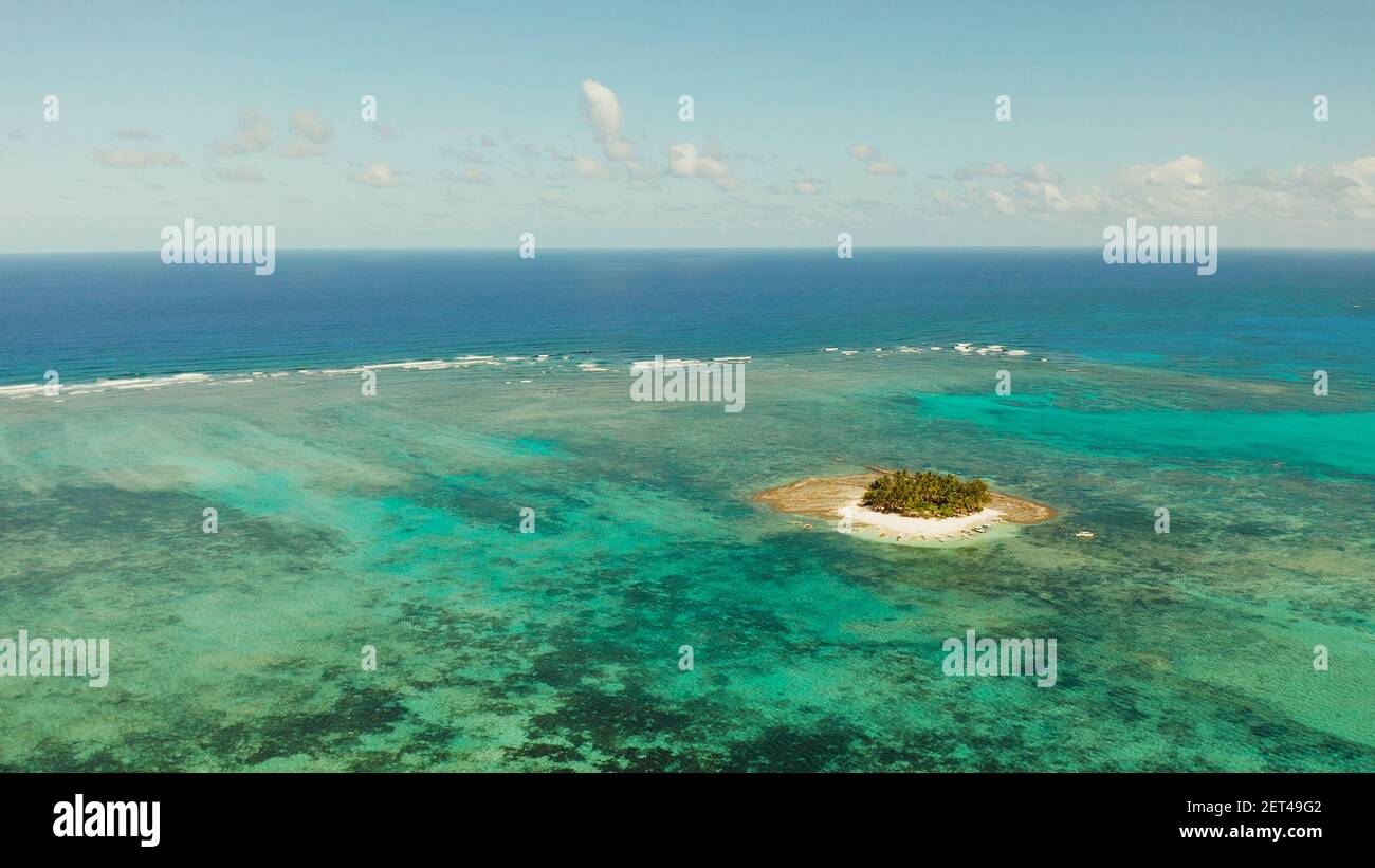 Aerial view of sandy beach with tourists on tropical island with palm ...