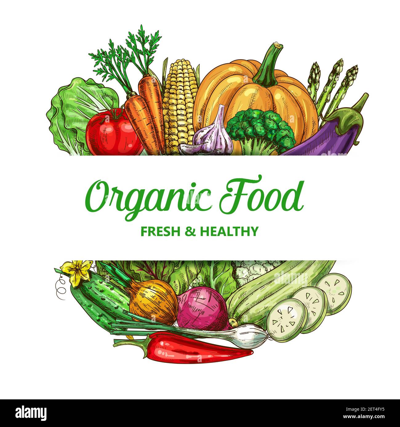 Farm vegetable vector frame with organic food squash, chili pepper and ...