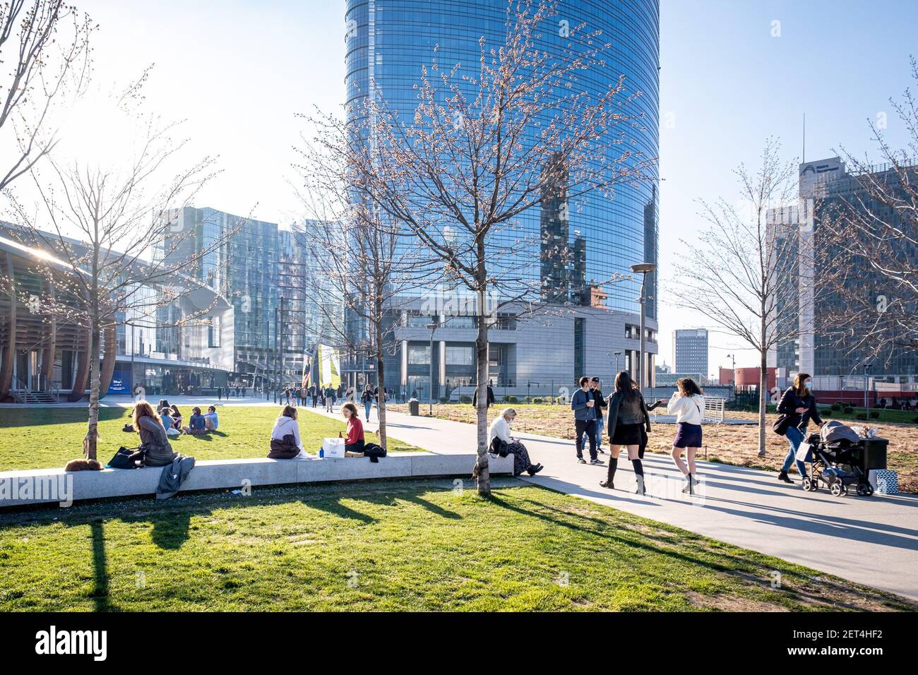 Bam tree library hi-res stock photography and images - Alamy