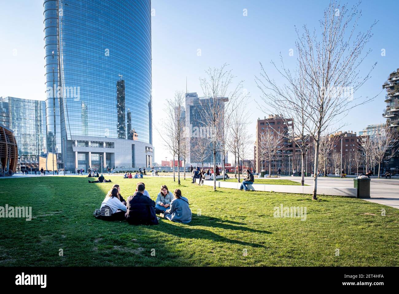 Bam tree library hi-res stock photography and images - Alamy