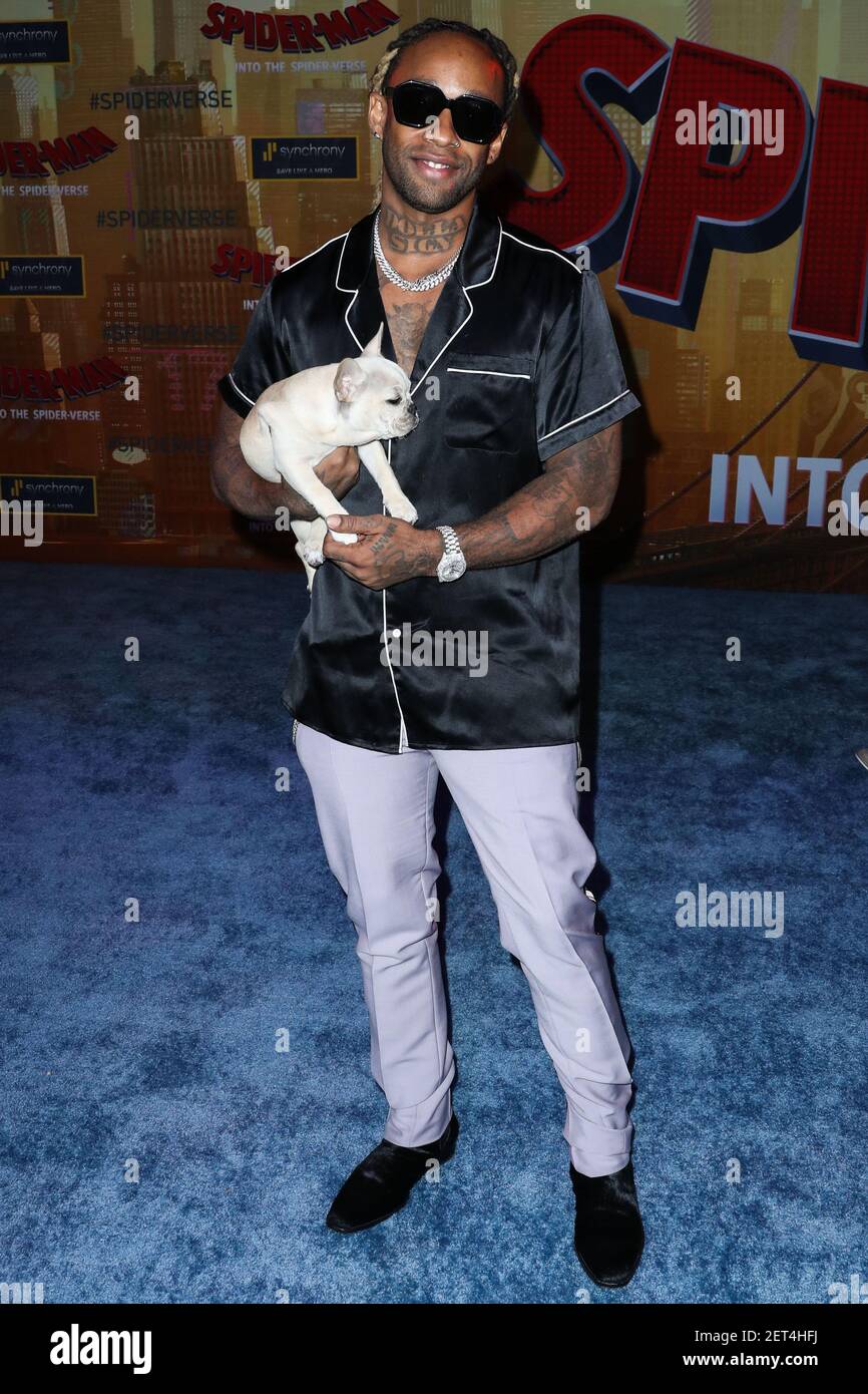 WESTWOOD, LOS ANGELES, CA, USA - DECEMBER 01: Singer Ty Dolla $ign aka ...