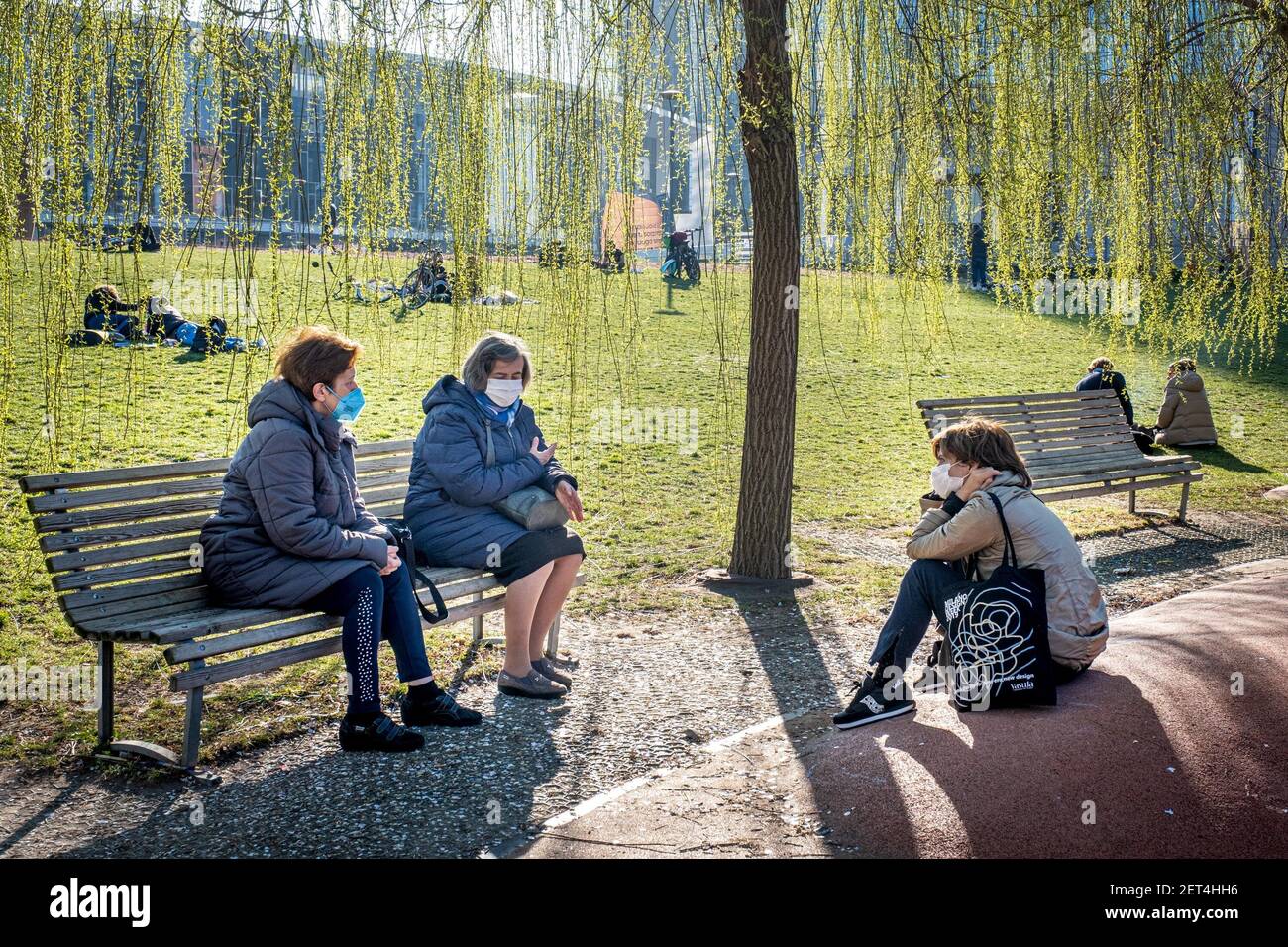 Bam tree library hi-res stock photography and images - Alamy