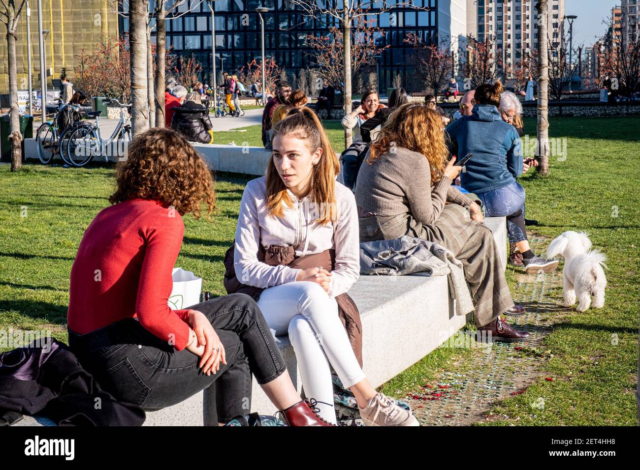 Bam tree library hi-res stock photography and images - Alamy
