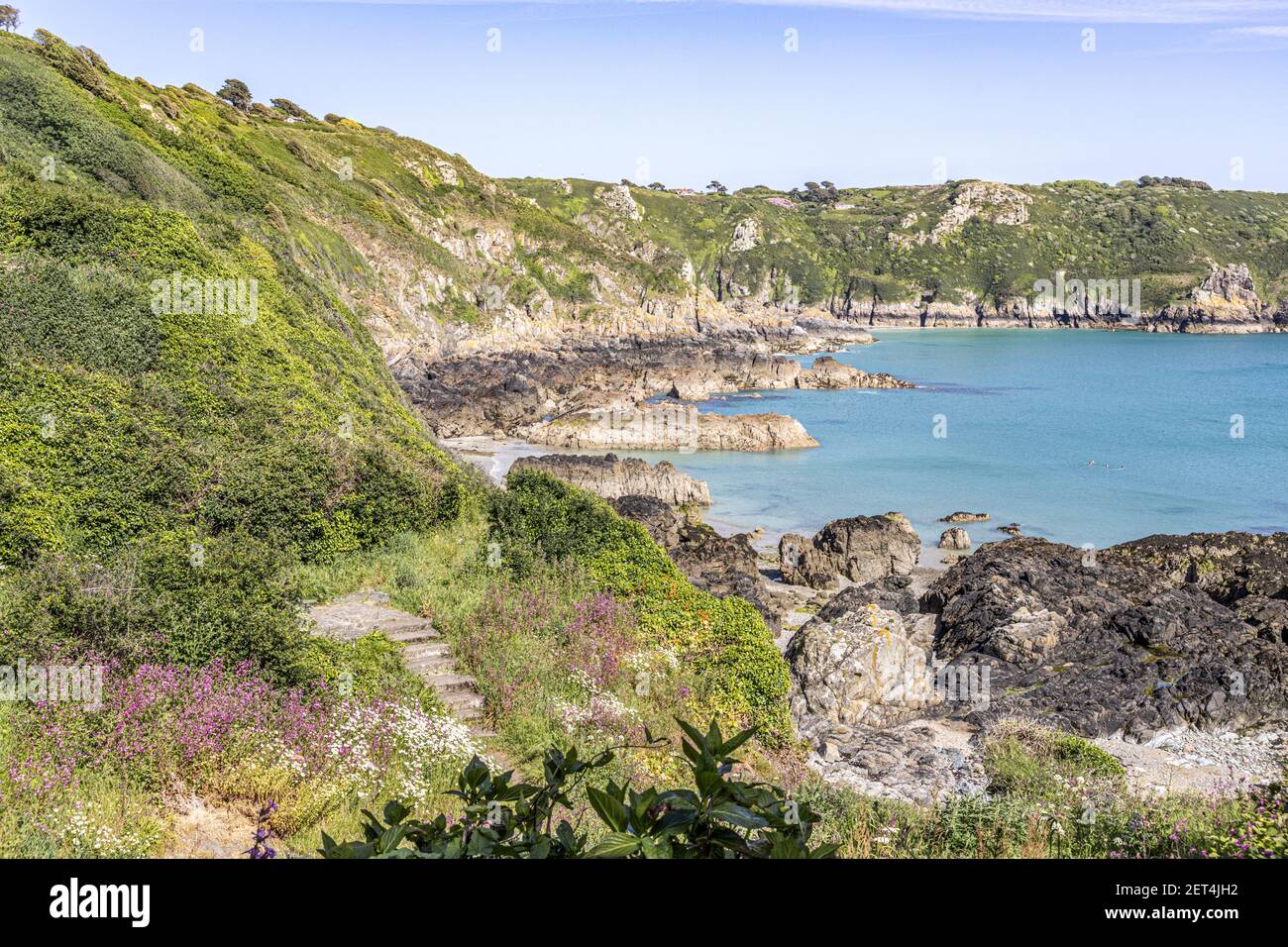 The beautiful rugged south coast of Guernsey - Wildflowers beside the ...