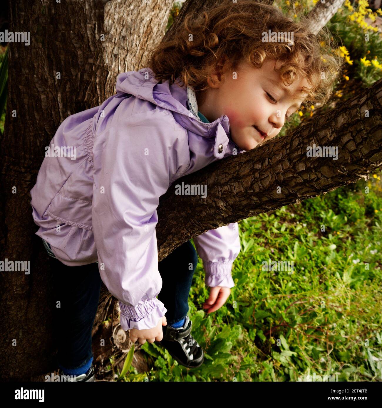 Sitting sleeping hi-res stock photography and images - Alamy