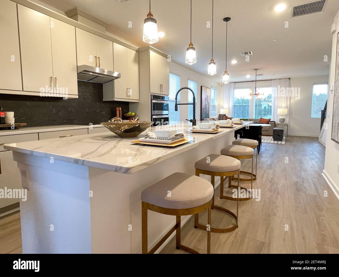 Orlando, FL USA - February 6, 2021: A beautifully appointed kitchen in ...