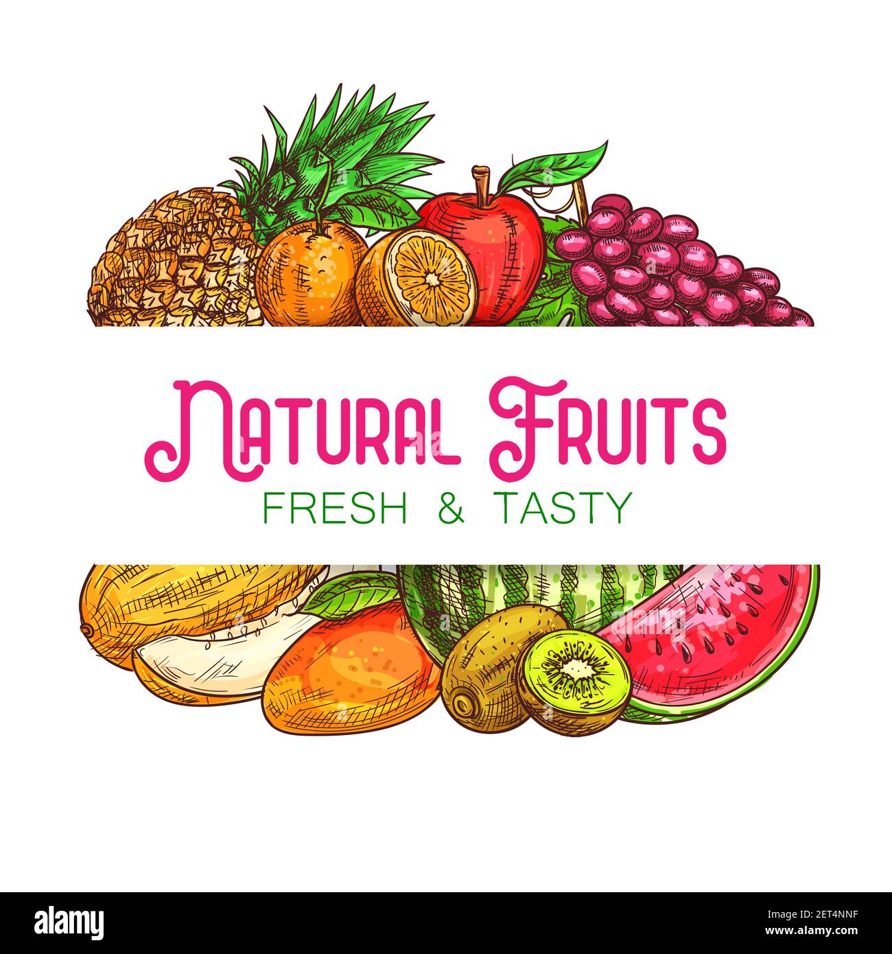 Kiwi fruit orchard illustration hi-res stock photography and images - Alamy