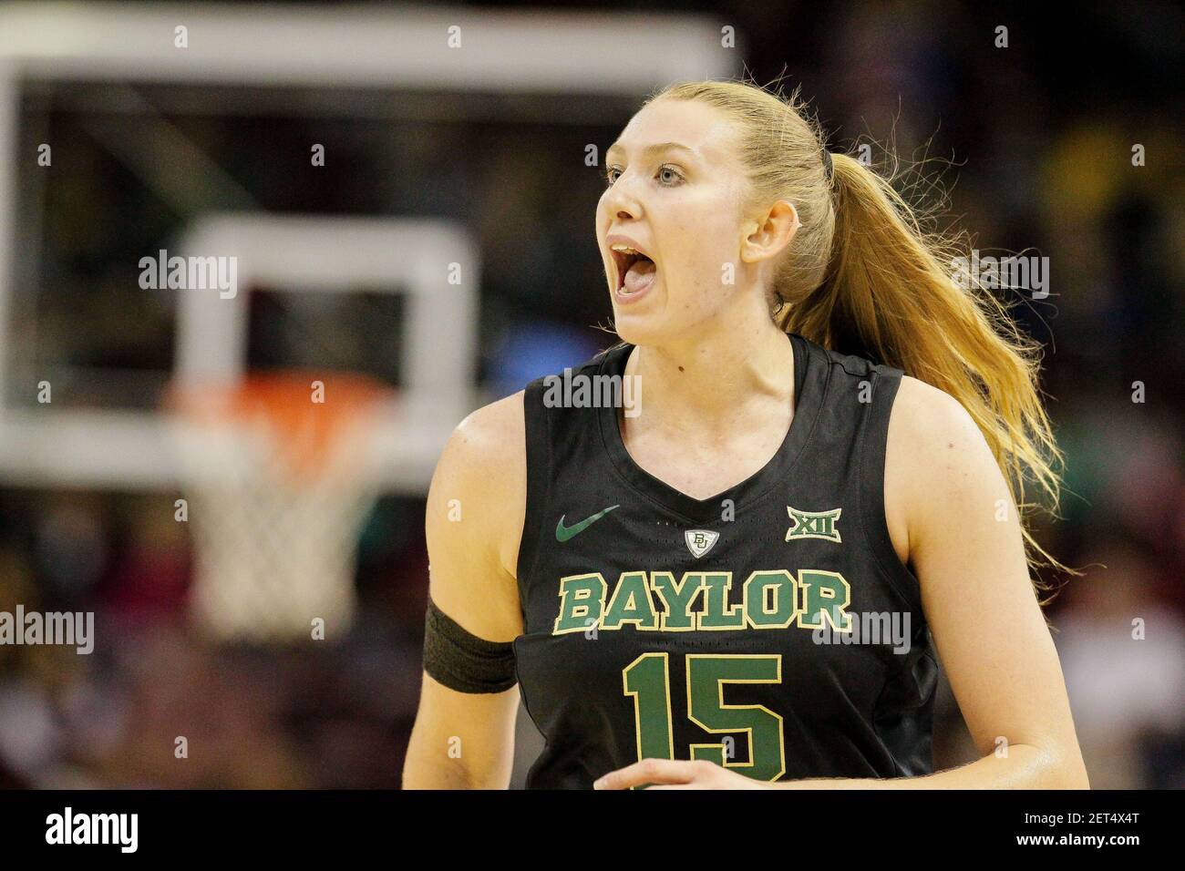 December 2, 2018: Baylor Bears forward Lauren Cox (15) during the NCAA ...