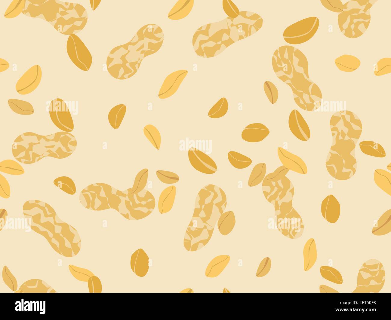 Peanut seamless pattern. Roasted peanuts. Background design for ...