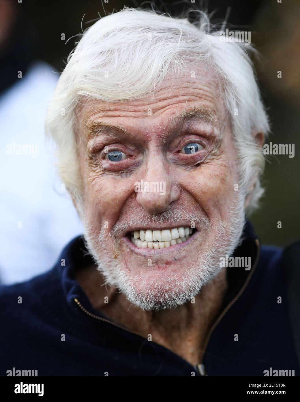 Actor Dick Van Dyke arrives at the One Love Malibu Festival Benefit ...
