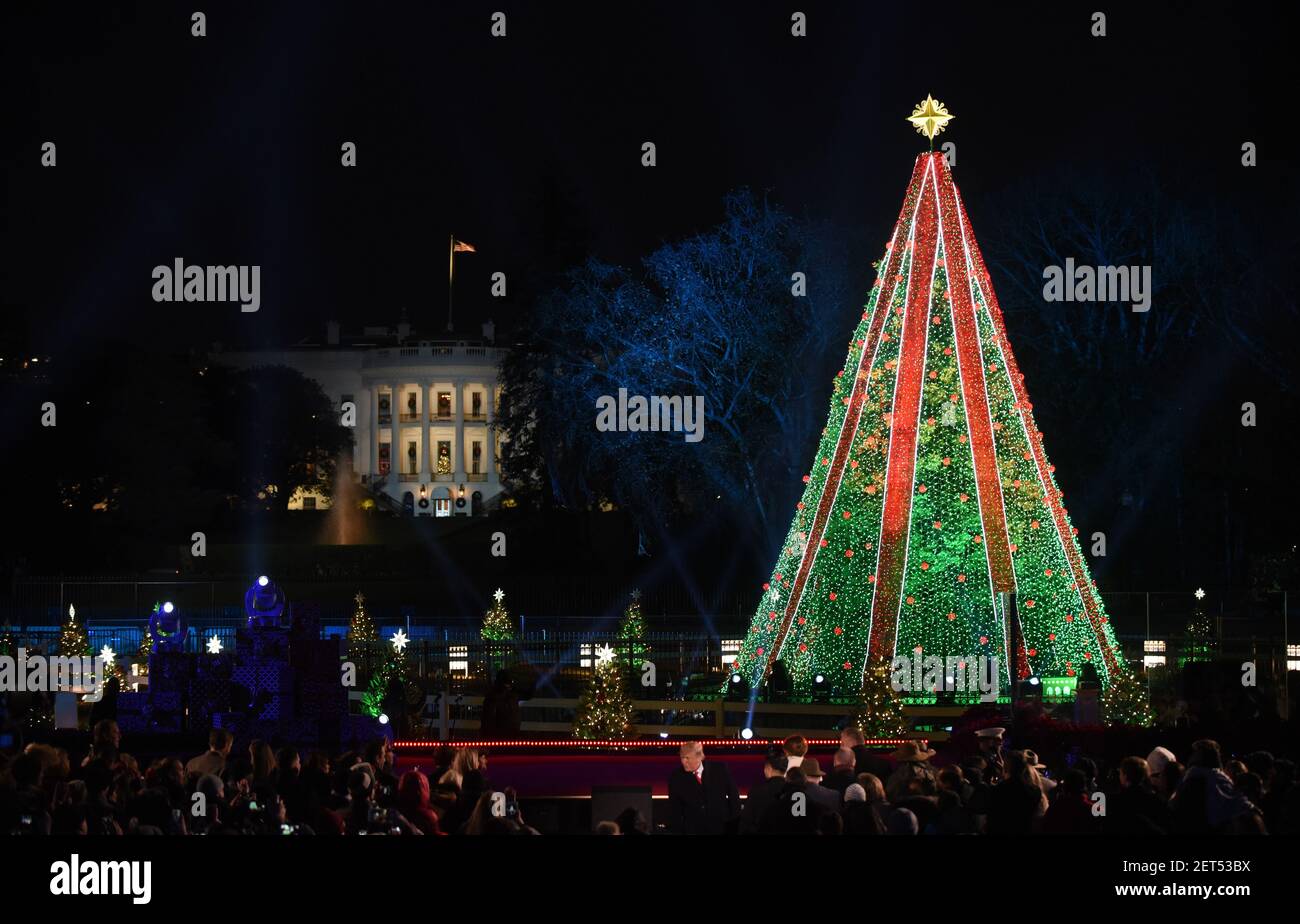 Abaca tree hi-res stock photography and images - Alamy