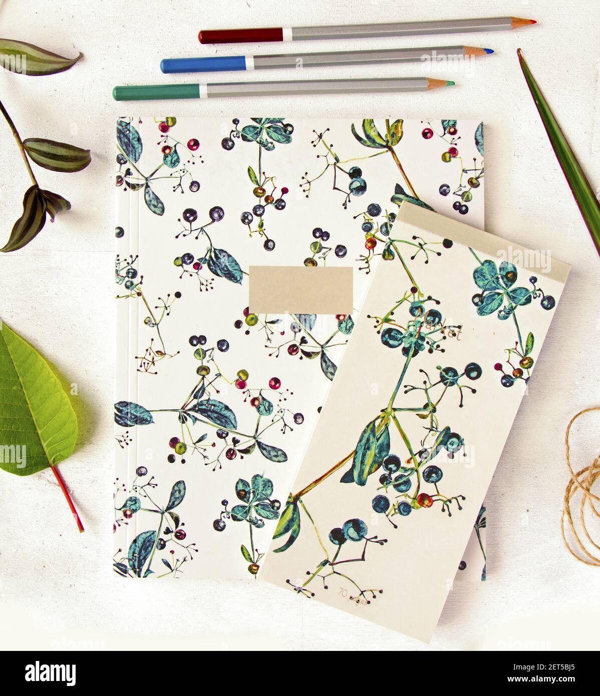 Pen drawing plants hi-res stock photography and images - Alamy