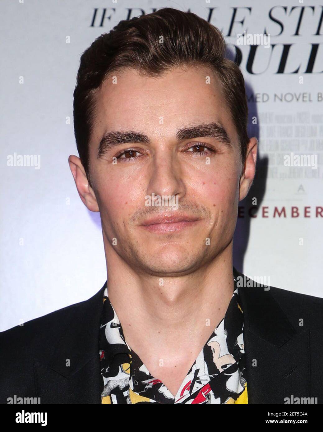 HOLLYWOOD, LOS ANGELES, CA, USA - DECEMBER 04: Actor Dave Franco ...