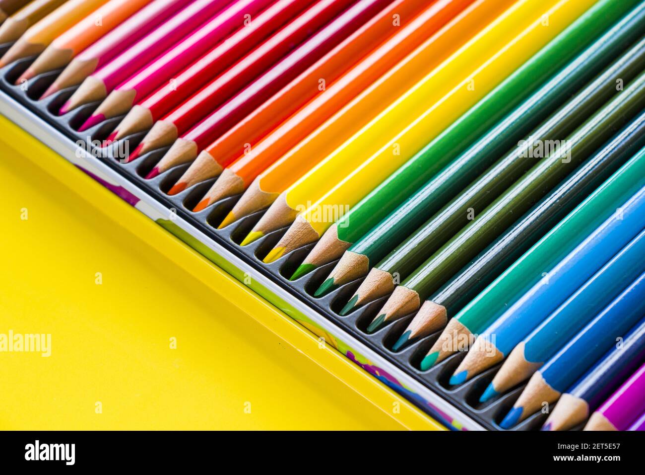 The colorful multicolored pencils for drawing and painting, color ...