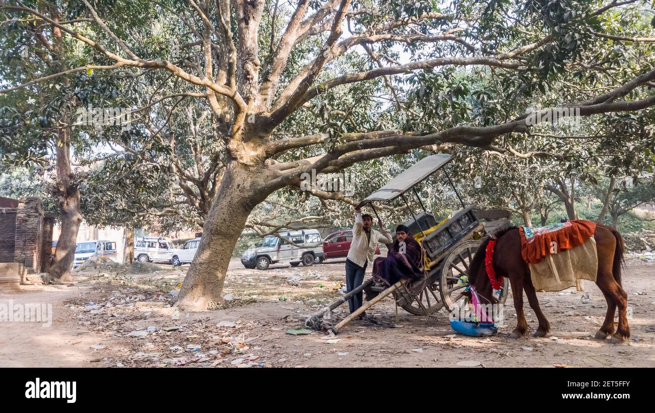 Malda, West Bengal, India - January 2018: Men sitting with their horse ...