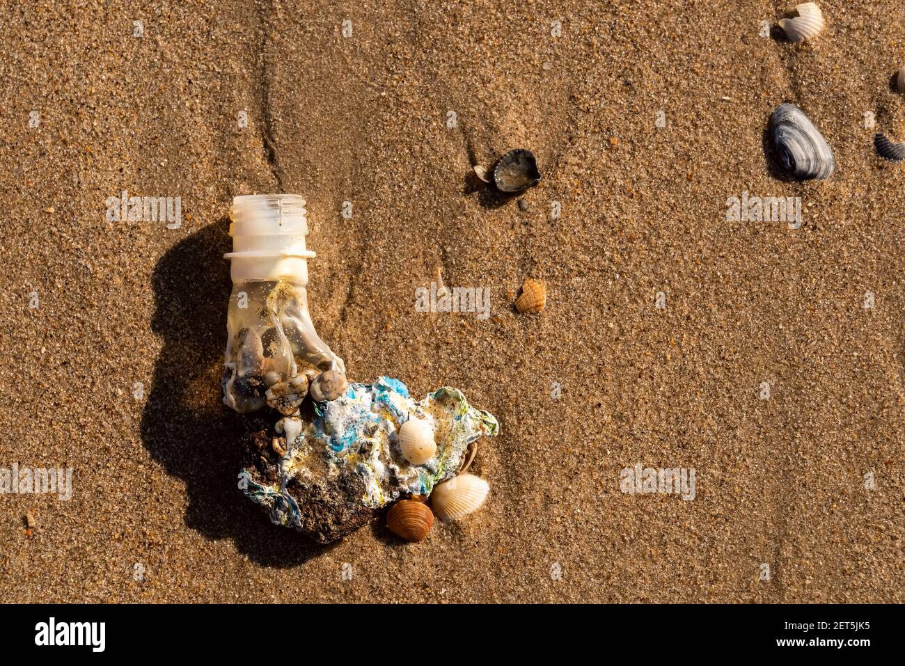 Sea plastic trash. Dissolved plastic bottle on beach throw away by Sea ...