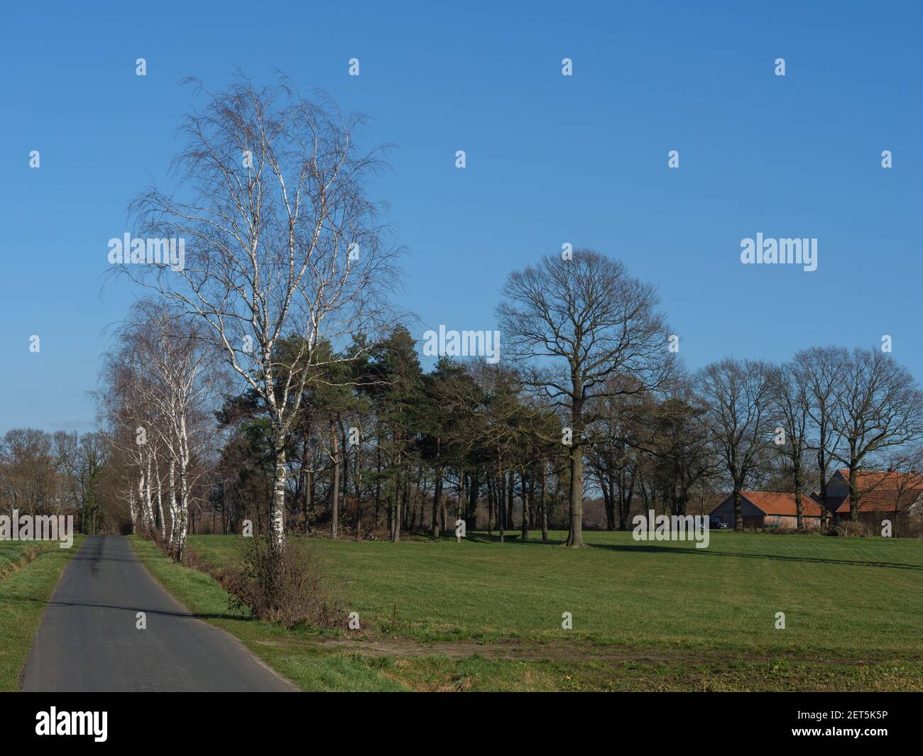 early spring time in the german westphalia Stock Photo - Alamy