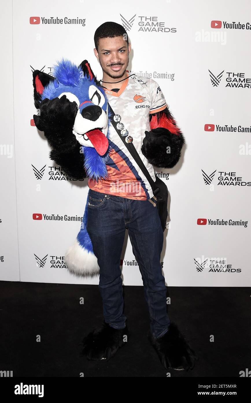 LOS ANGELES - DECEMBER 6: Dominique "Sonic Fox" McLean attends the 2018 ...