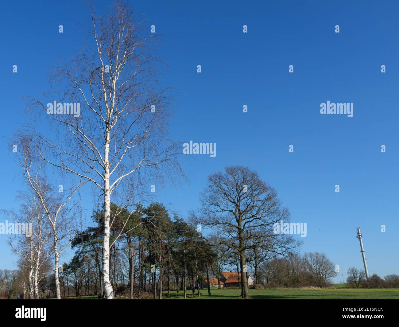 early spring time in the german westphalia Stock Photo - Alamy