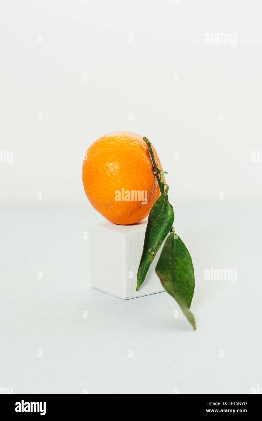 A single Clementine Citrus Fruit still life shot - minimalist ...