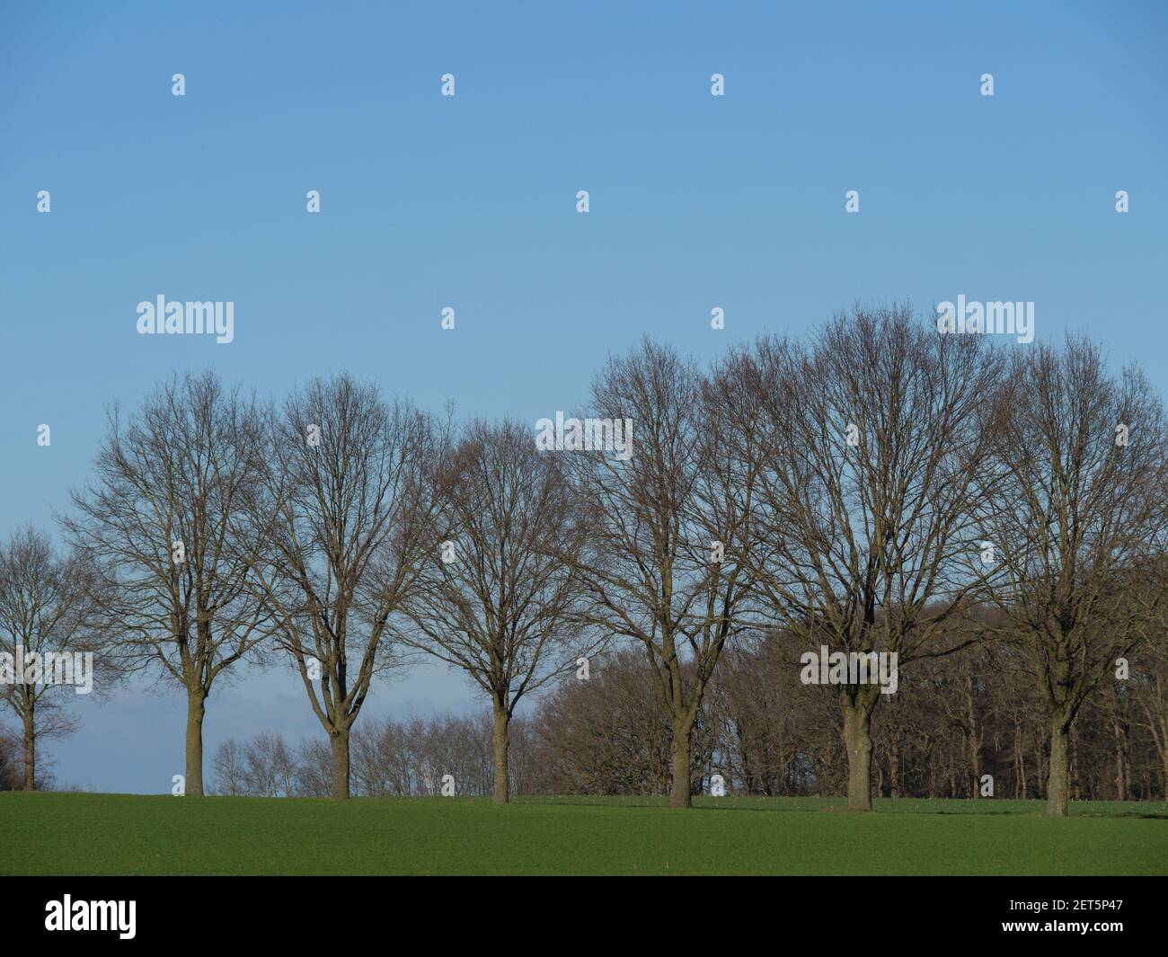 early spring time in the german westphalia Stock Photo - Alamy