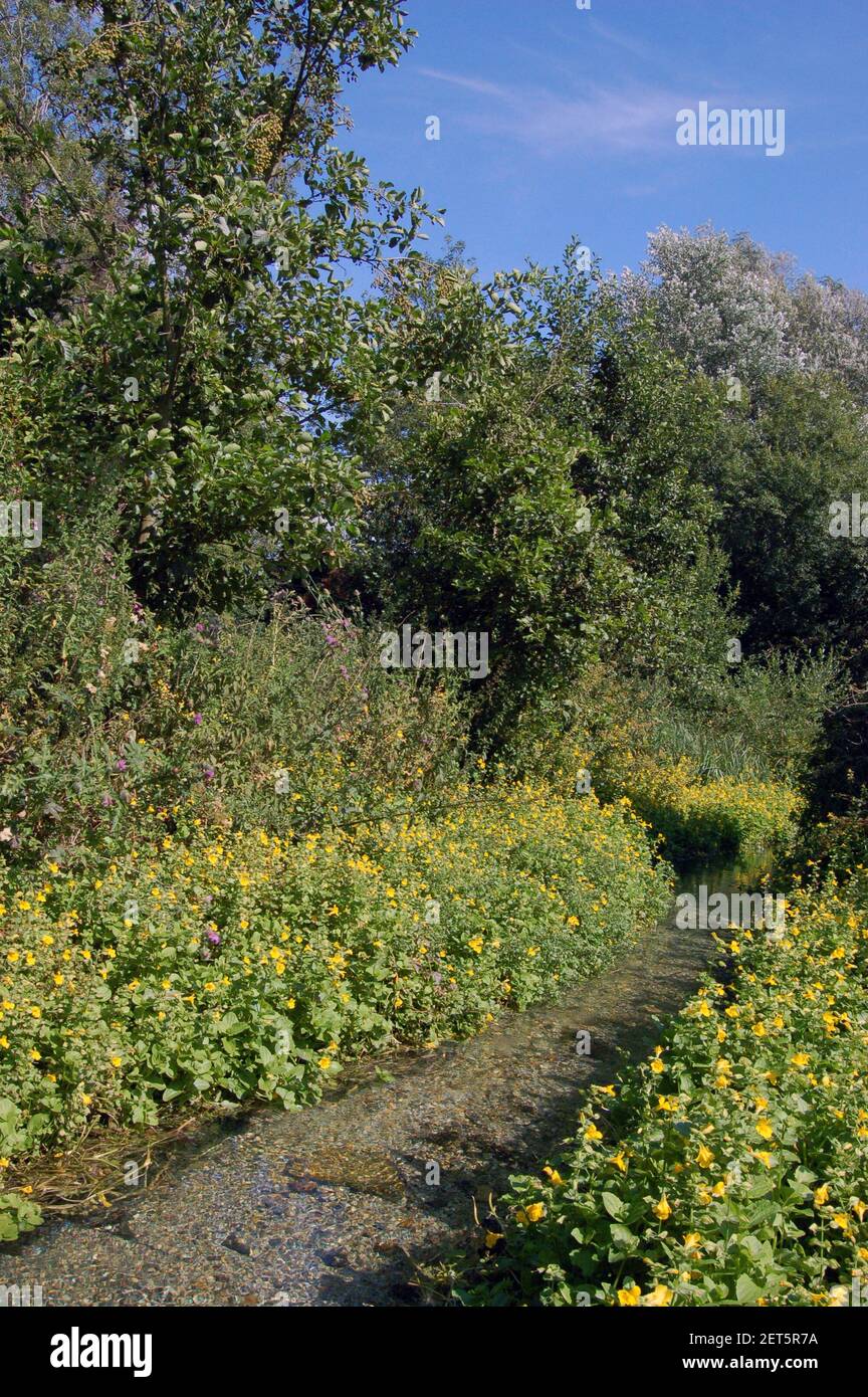 River anton hi-res stock photography and images - Alamy