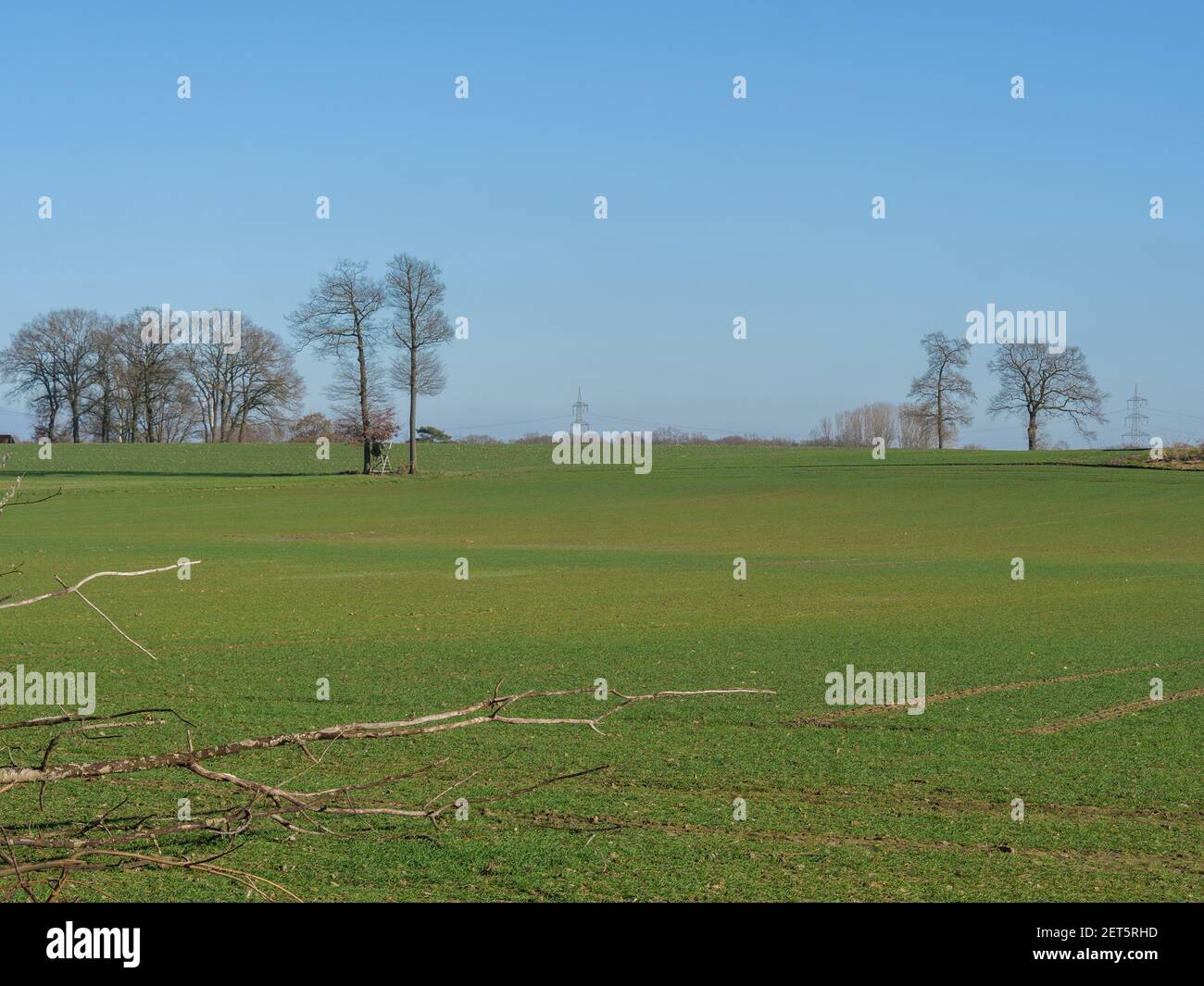 early spring time in the german westphalia Stock Photo - Alamy