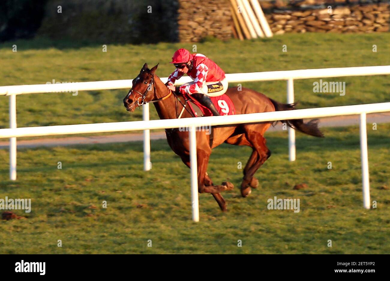 Mighty potter horse hi-res stock photography and images - Alamy